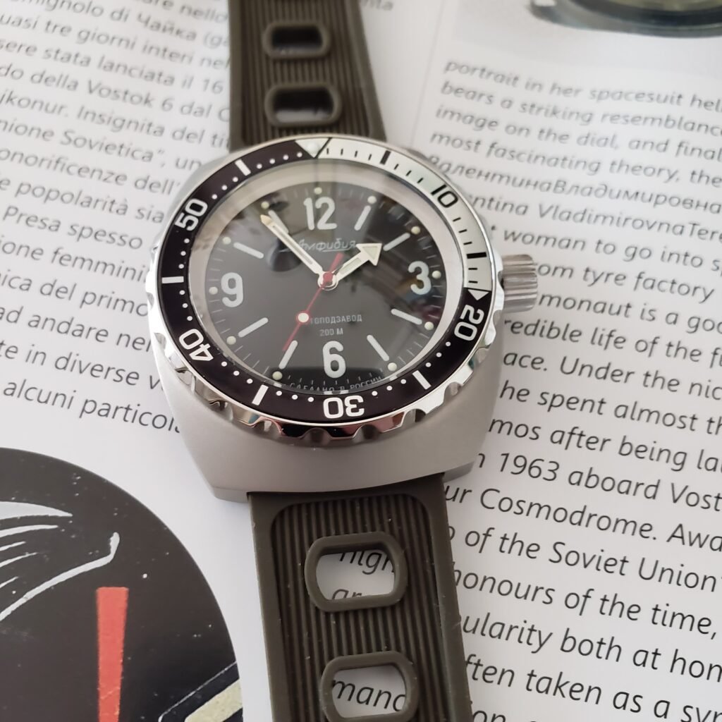 Vostok Mods Watch 660 Dial - Vostok Mods